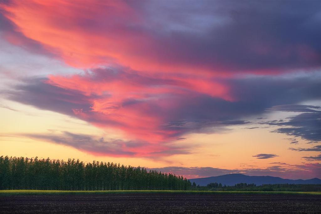 Plasma Towers, Elemental Help, Army of the Dead, Engineering the Four ...